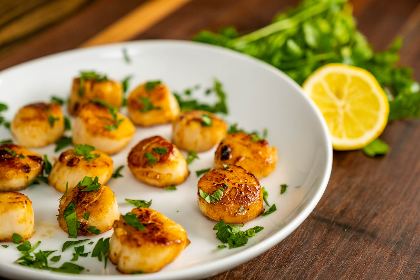 Steelmade Scallops